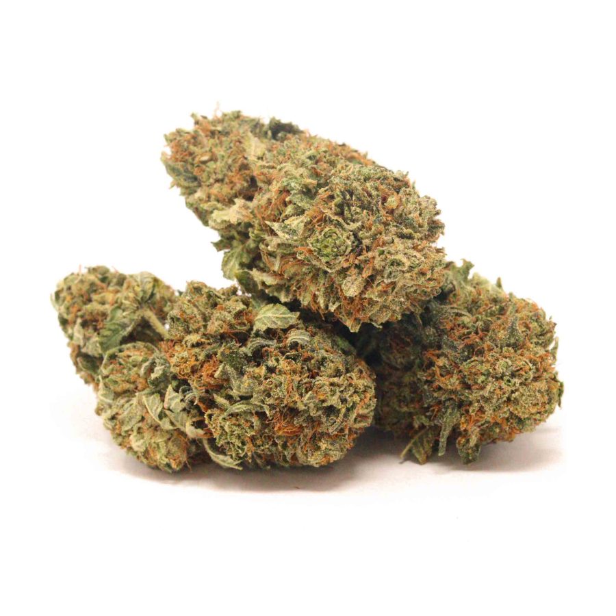 Tuna Candy - Wholesale Bud - Bulk Buddy - Buy Weed Online Canada