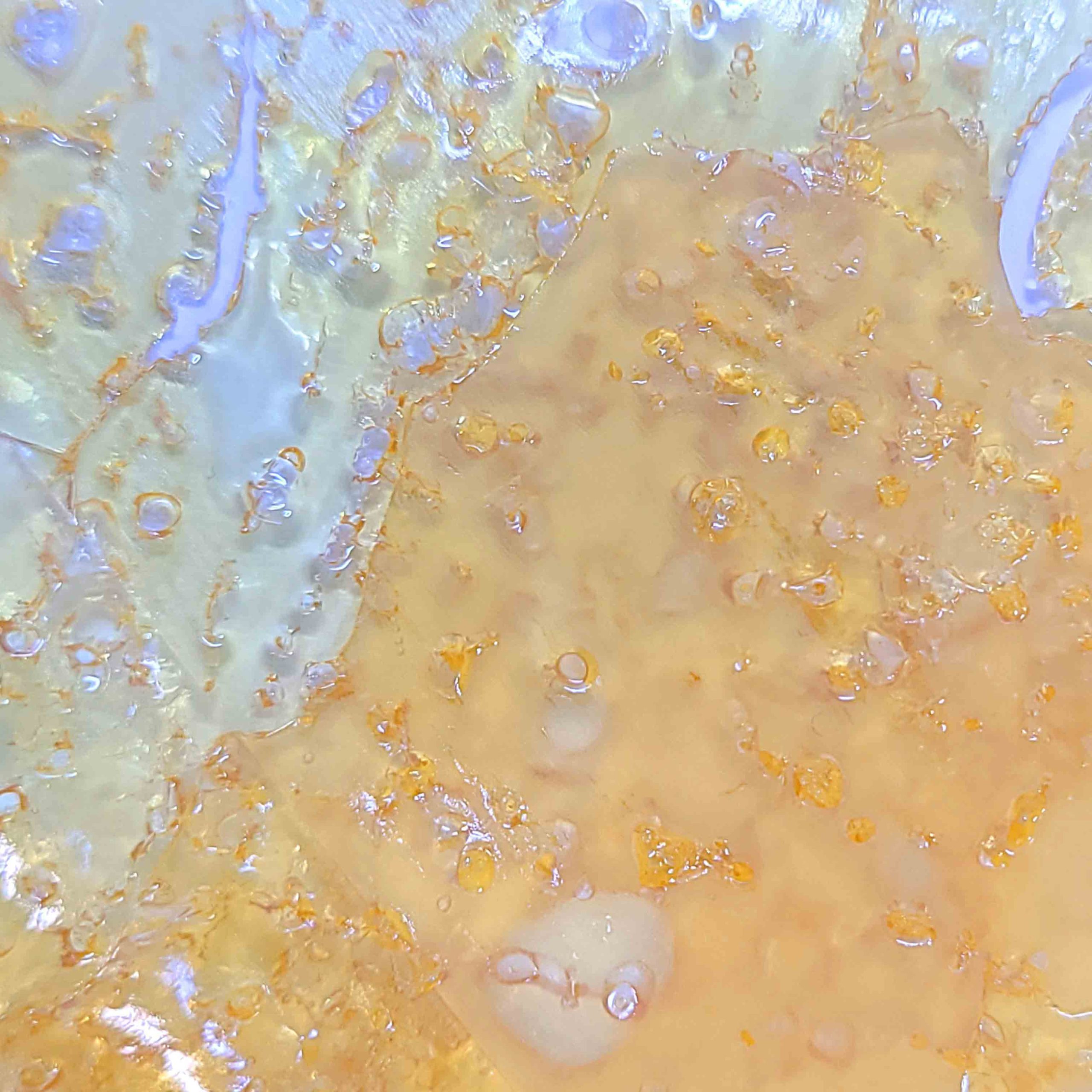 Blueberry Syrup Shatter | Bulk Buddy Weed | Online Dispensary Canada