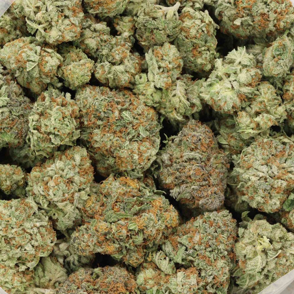 Ghost Walker OG | Bulk Buddy Dispensary | Buy Weed Online Canada