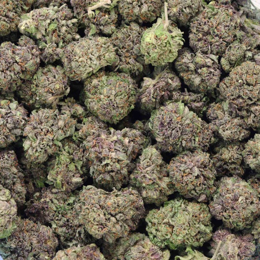 Buy Night Train | Bulk Buddy #1 Online Dispensary | Wholesale Weed