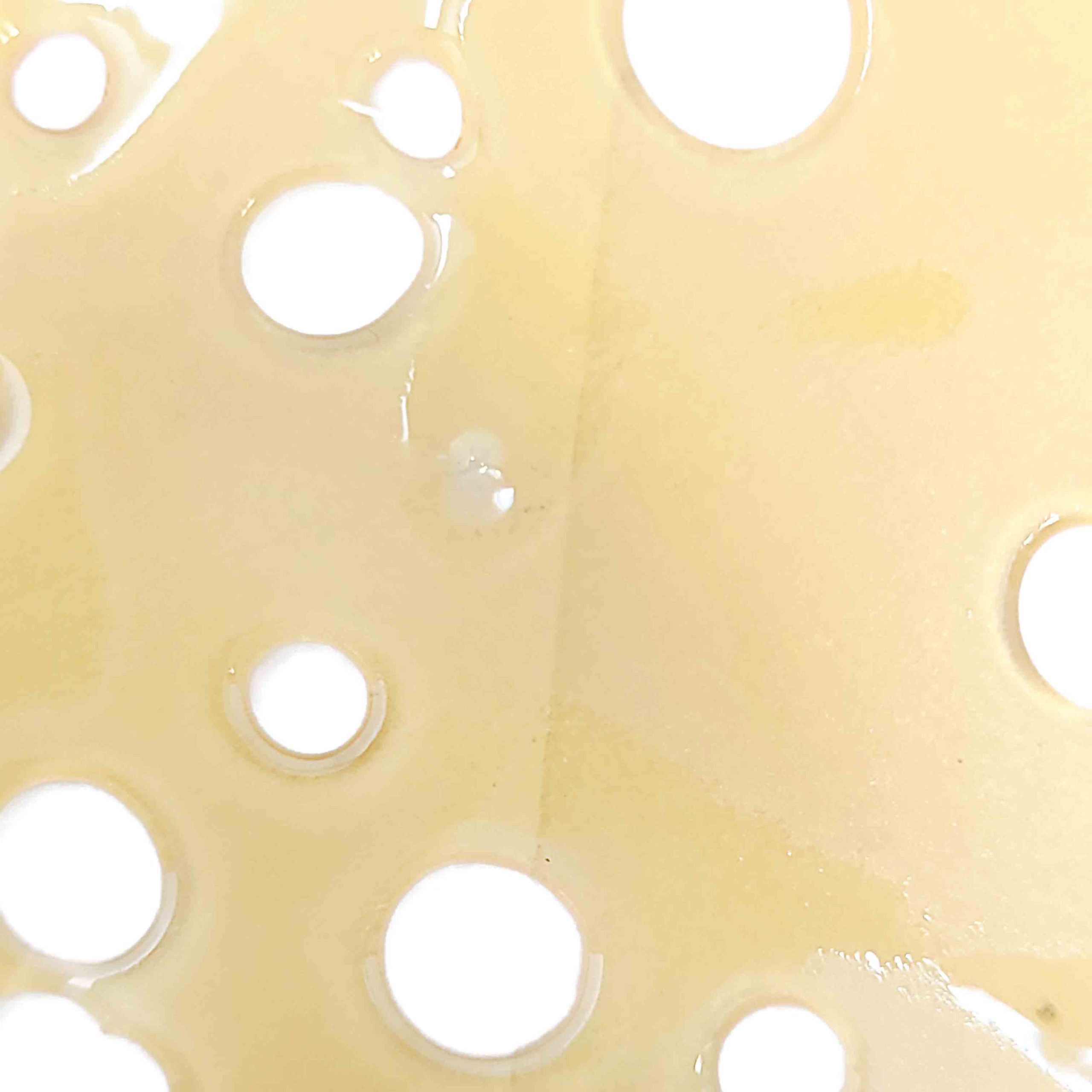 Purple Space Cookies Shatter | Wholesale Shatter Canada | Bulk Buddy