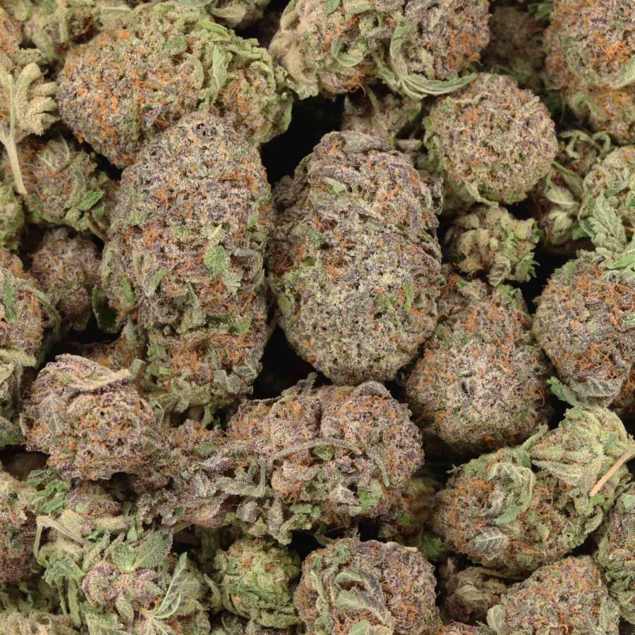 Purple God | Bulk Buddy | Buy Weed Online | Online Dispensary Canada