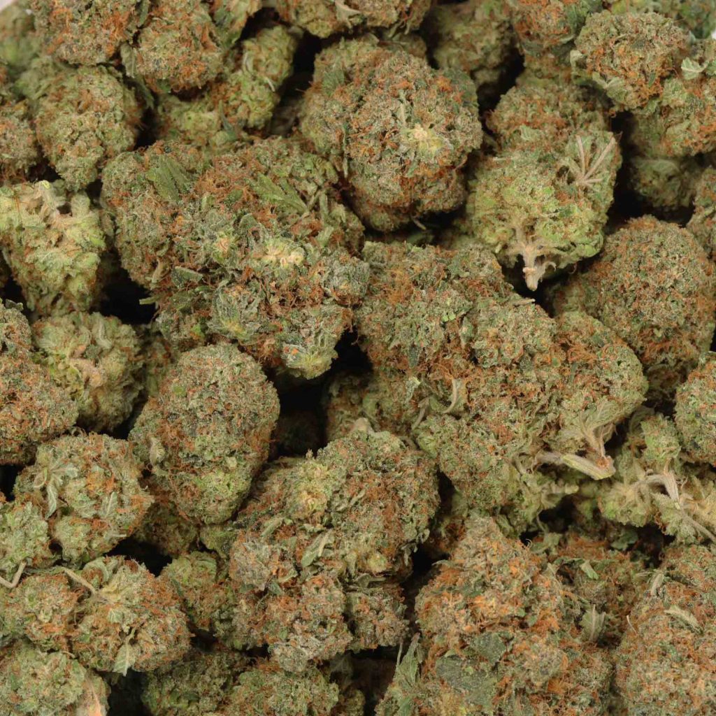 Buy Rock Bubba | Indica Weed Strain | Bulk Buddy Curated Dispensary
