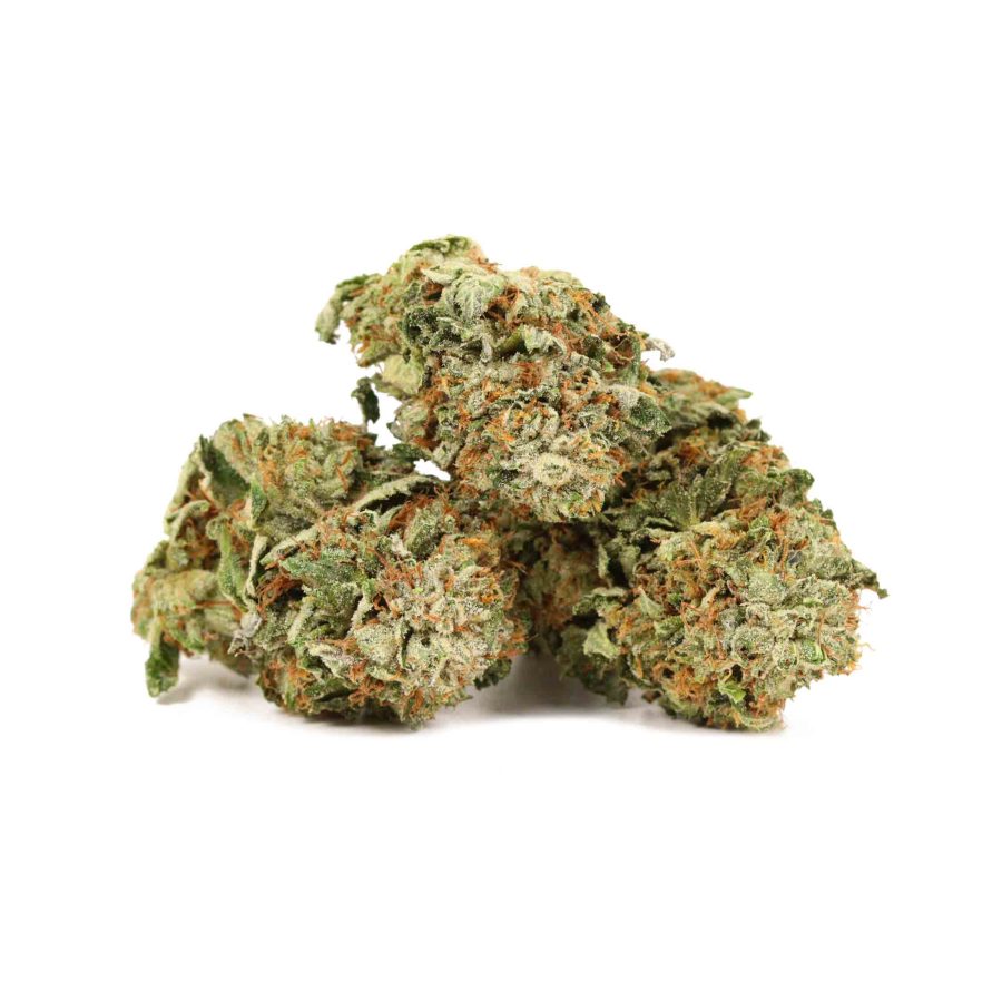 Godzilla Indica | Buy BC Craft Cannabis Online | Buy Bulk Buddy Weed