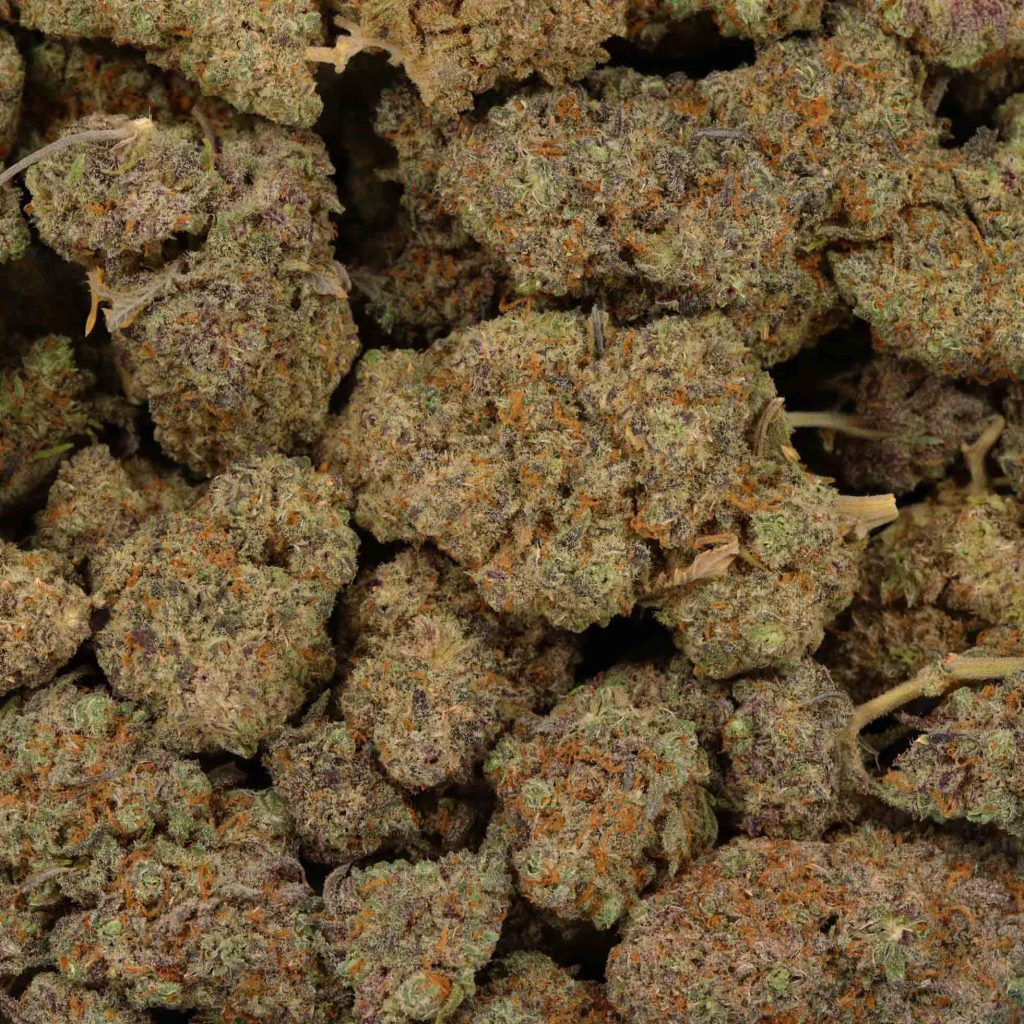 Dosi Crasher | Sativa Cannabis Strain | Bulk Buddy Dispensary