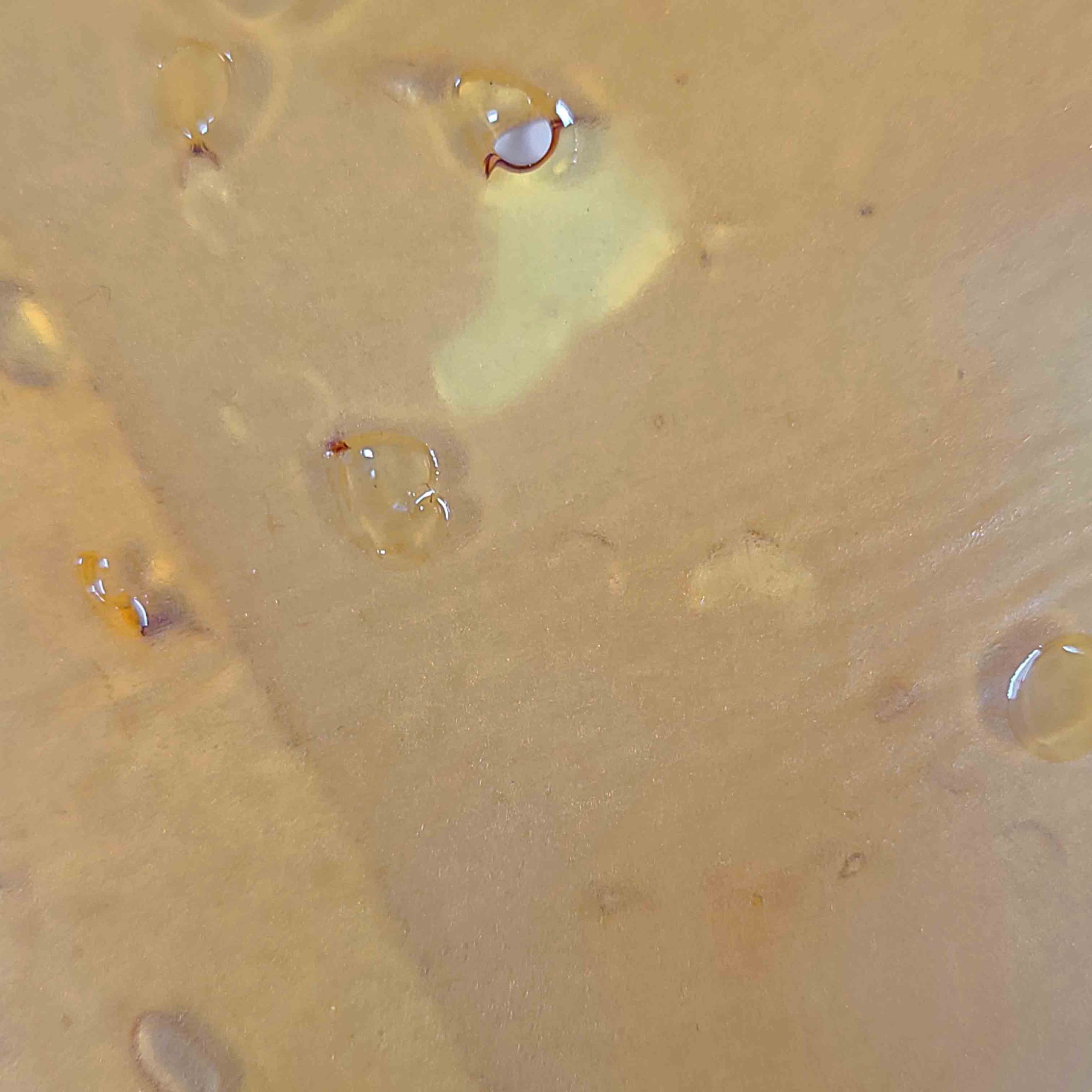 Super Lemon Haze Shatter | Online Dispensary in Canada - Bulk Buddy