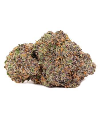 Habibi Hash | Online Dispensary Canada | Bulk Buddy Cannabis