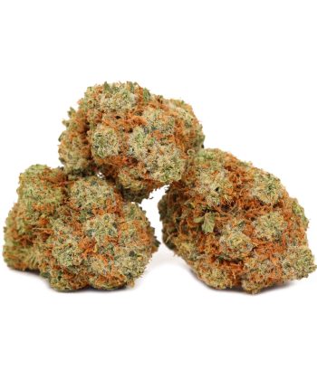 Hippie Crasher | Buy Weed Bulk Buddy Online Dispensary Canada