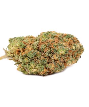 Rolex Crown Hash | Online Dispensary Canada | Bulk Buddy Weed