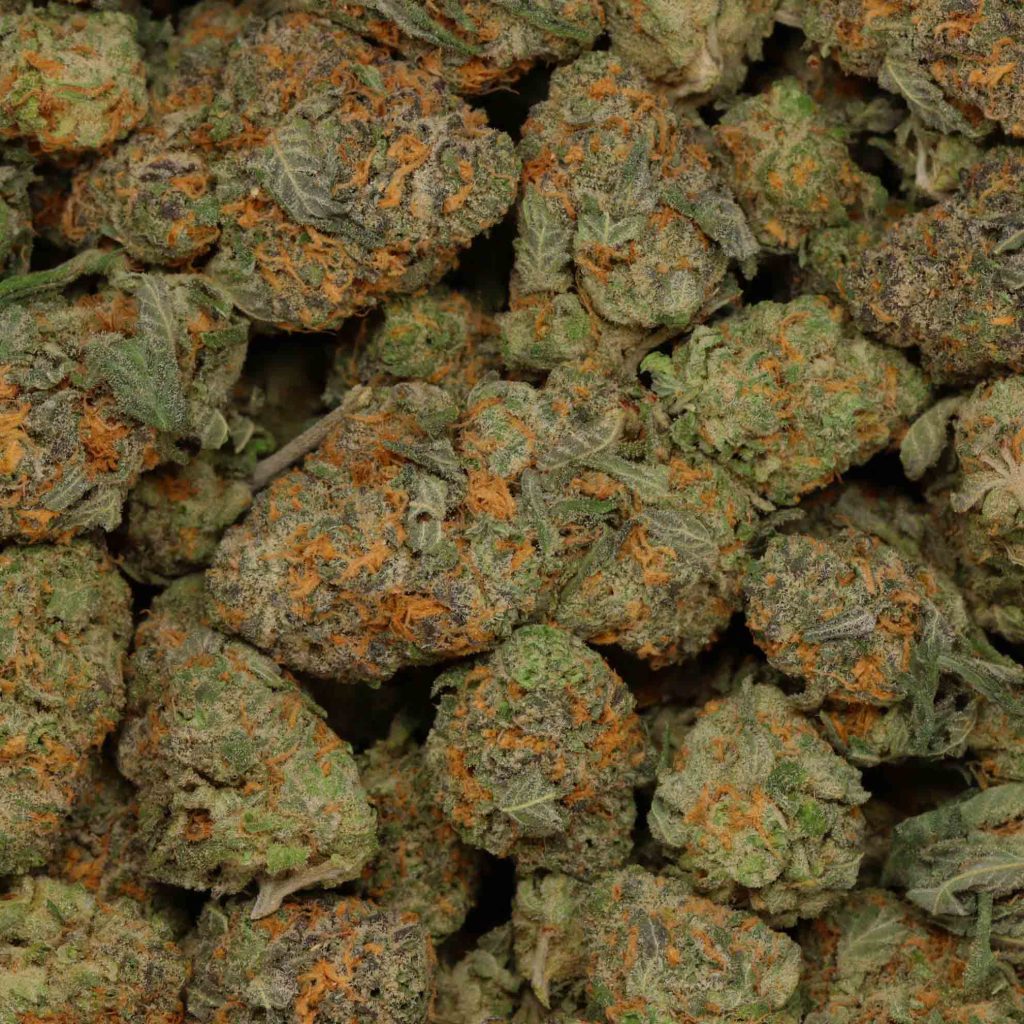Alien Tarantula Weed | Online Dispensary Canada | Bulk Buddy