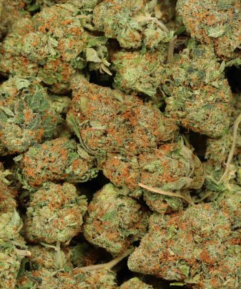 High Five | Buy Weed Online | Bulk Buddy | Wholesale Weed