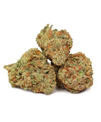 Buy Hybrid Cannabis Online In Canada - Bulk Buddy