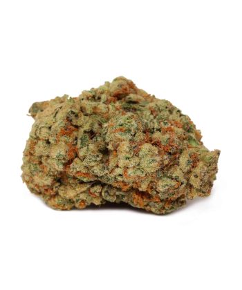 Mazar Sharif Afghan Hash | Bulk Buddy Online Dispensary Canada