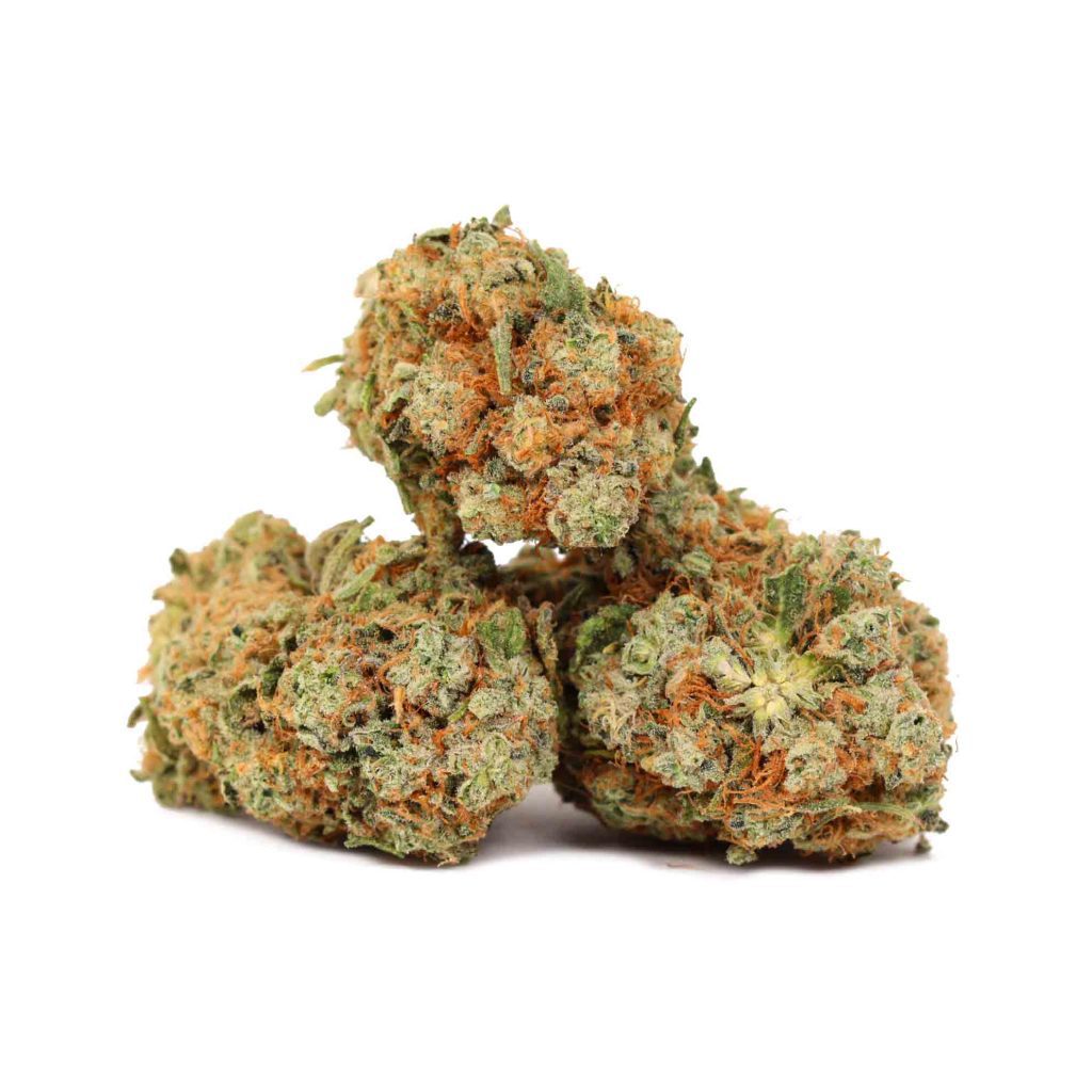 Buy Rockstar Strain | Bulk Buddy Online Dispensary Canada