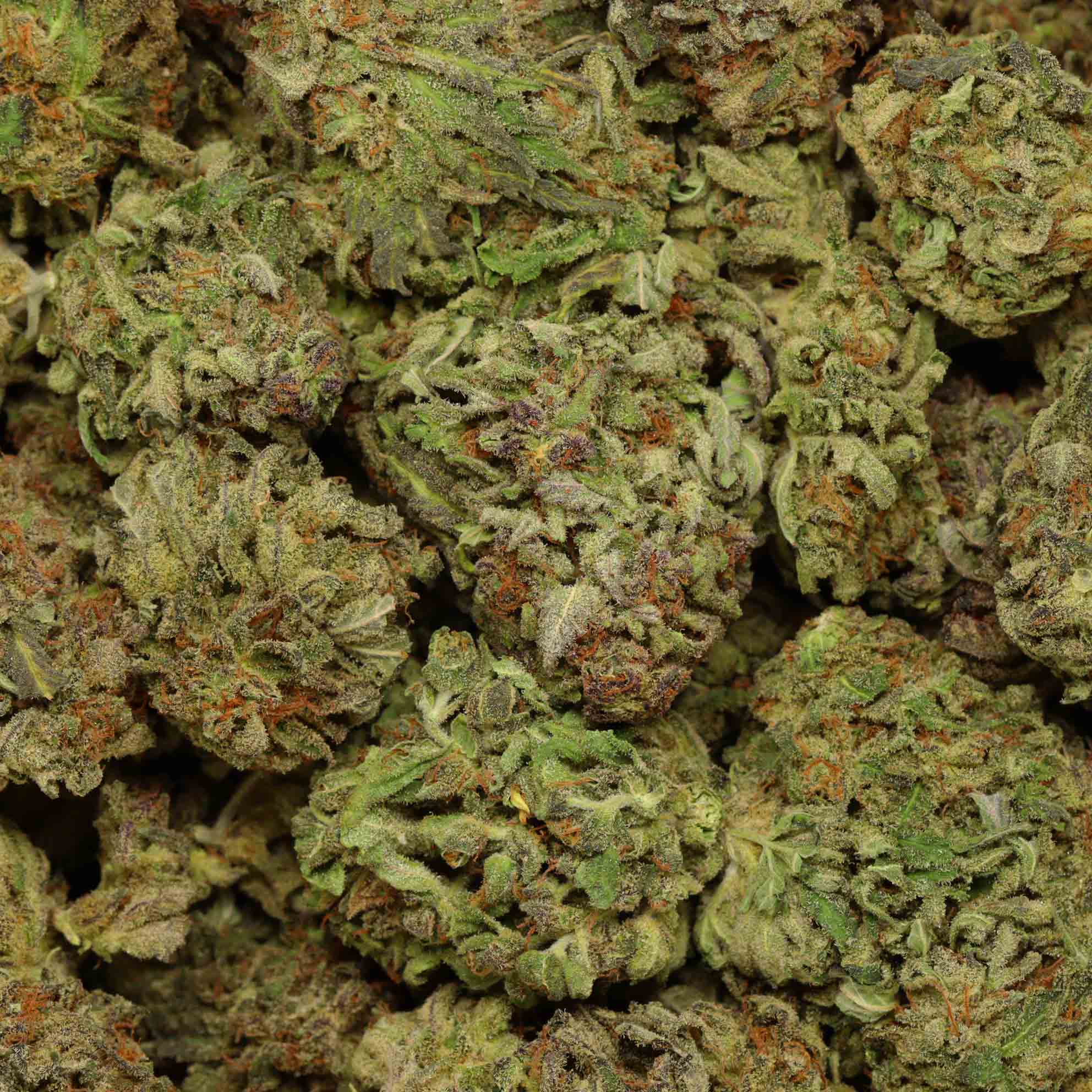 Romulan Candy | Online Dispensary Canada | Bulk Buddy Weed