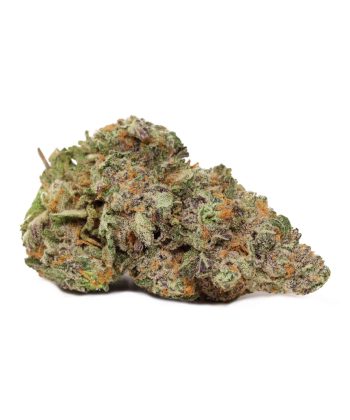 Afghan Palm Tree Hash | Online Dispensary Canada | Bulk Buddy