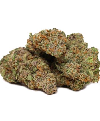 Mac & Cheese Strain | Buy Weed At Bulk Buddy Online Dispensary