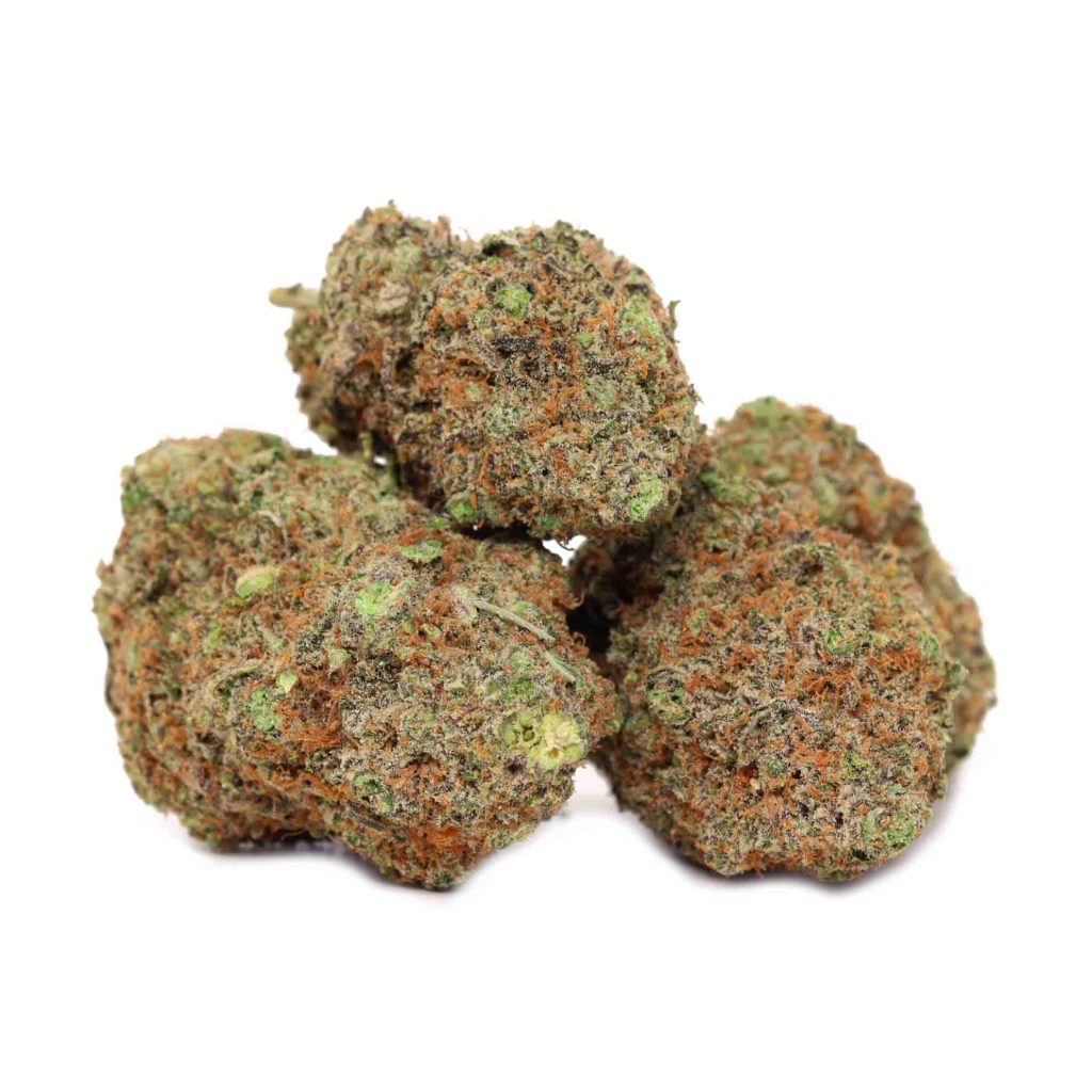 Buy Sherblato | Hybrid Cannabis In Canada | Bulk Buddy Marijuana