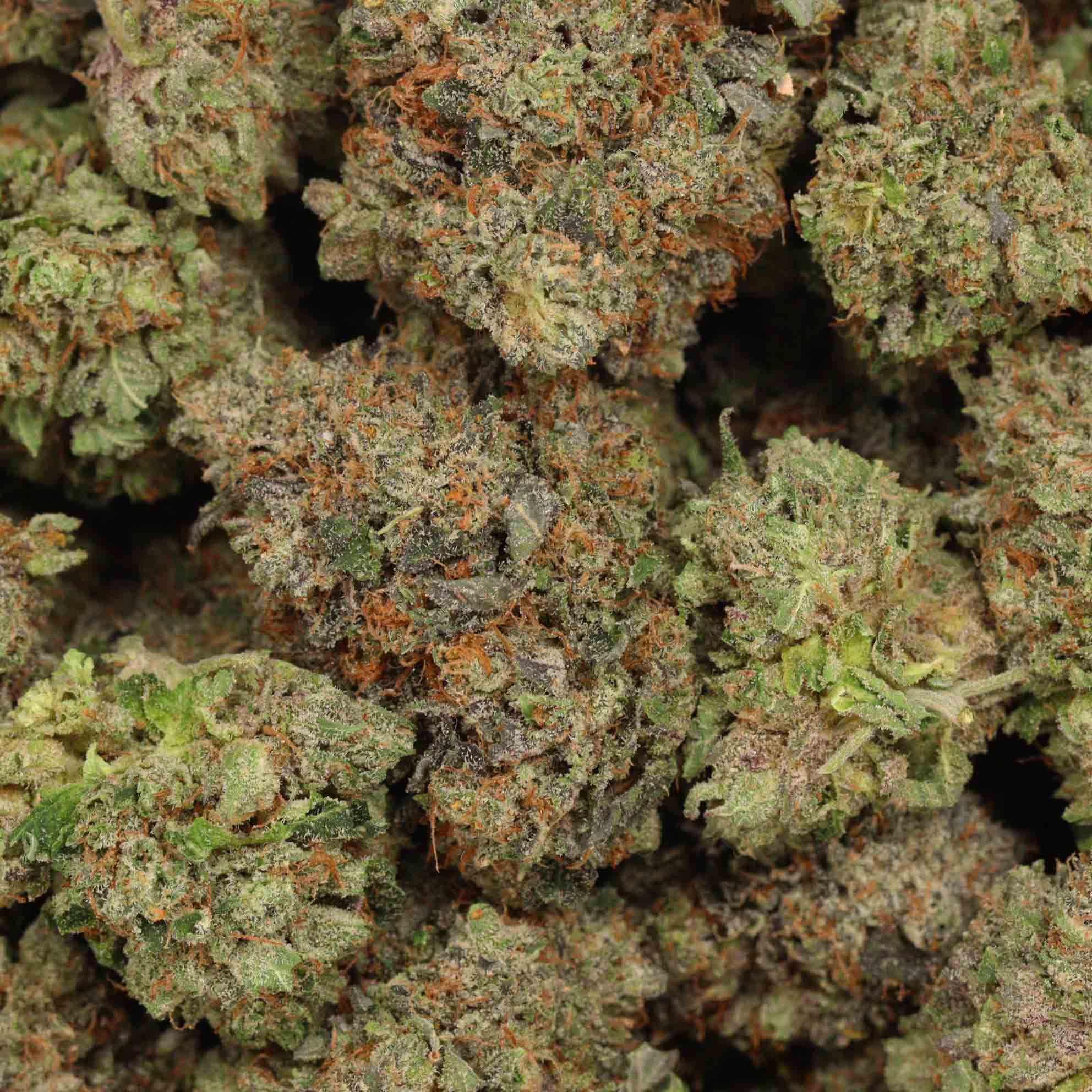 High Octane OG Indica | Online Canada Dispensary | Bulk Buddy