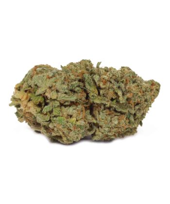 Buy AAAA Weed Online | Wholesale Weed in Canada - Bulk Buddy
