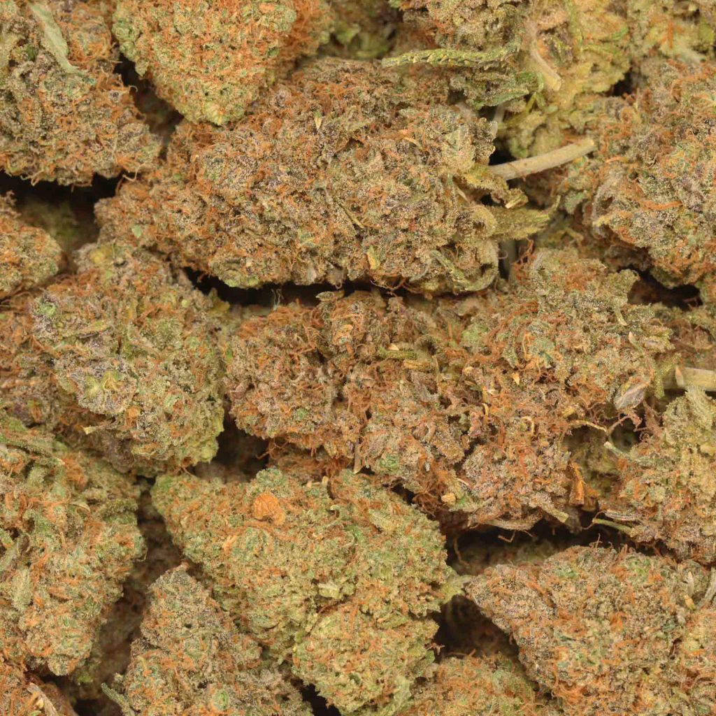 Gelato Strain | Online Dispensary Canada | Bulk Buddy Weed