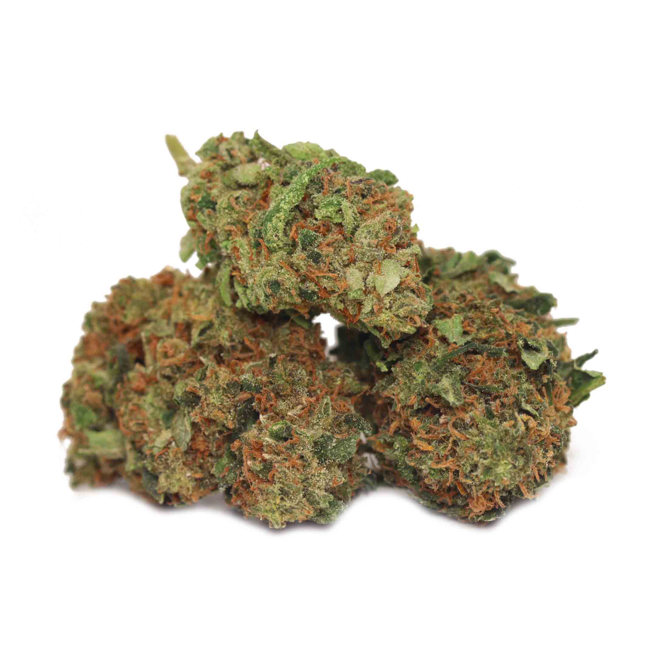Royal Gorilla Weed Strain | Buy Weed Online Canada | Bulk Buddy