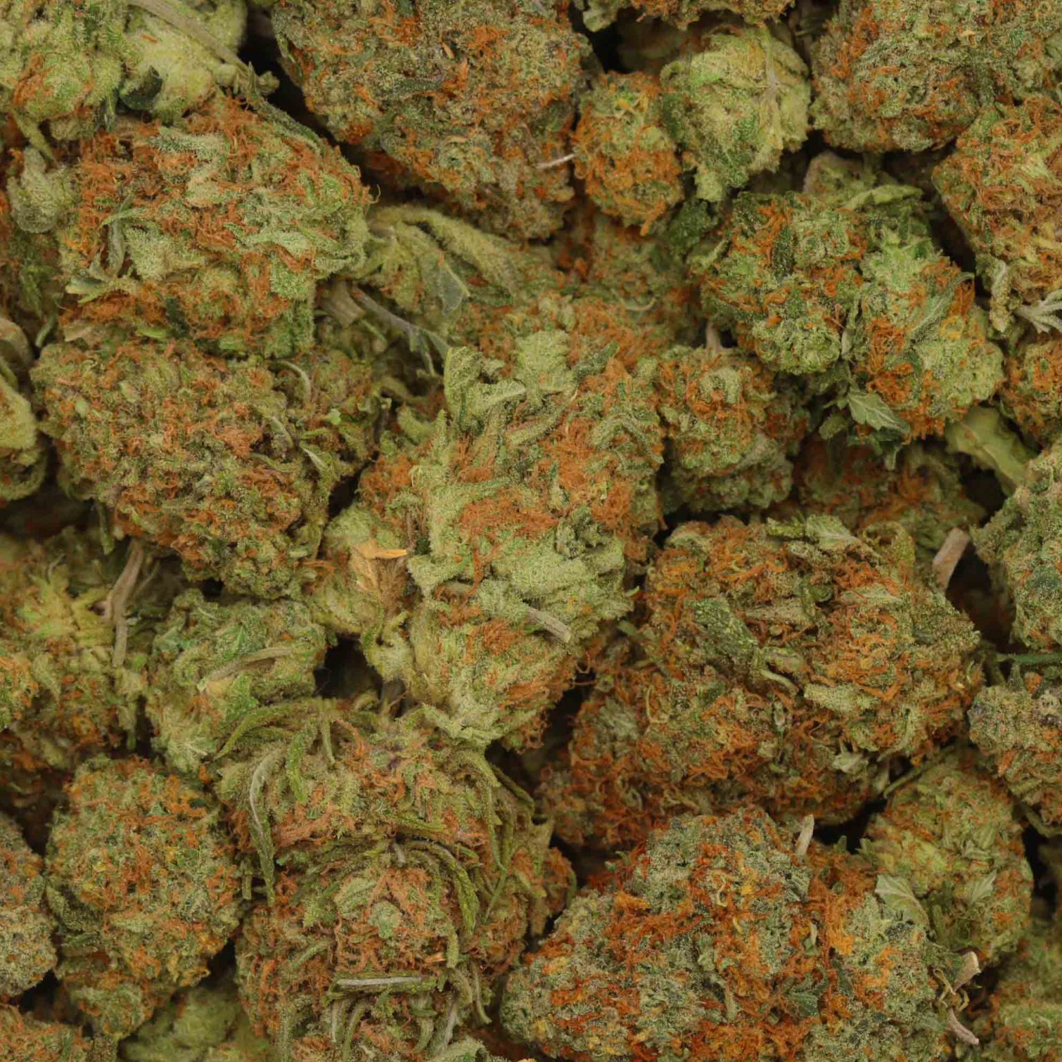 Mob Boss Strain | Buy Weed At Bulk Buddy Online Dispensary