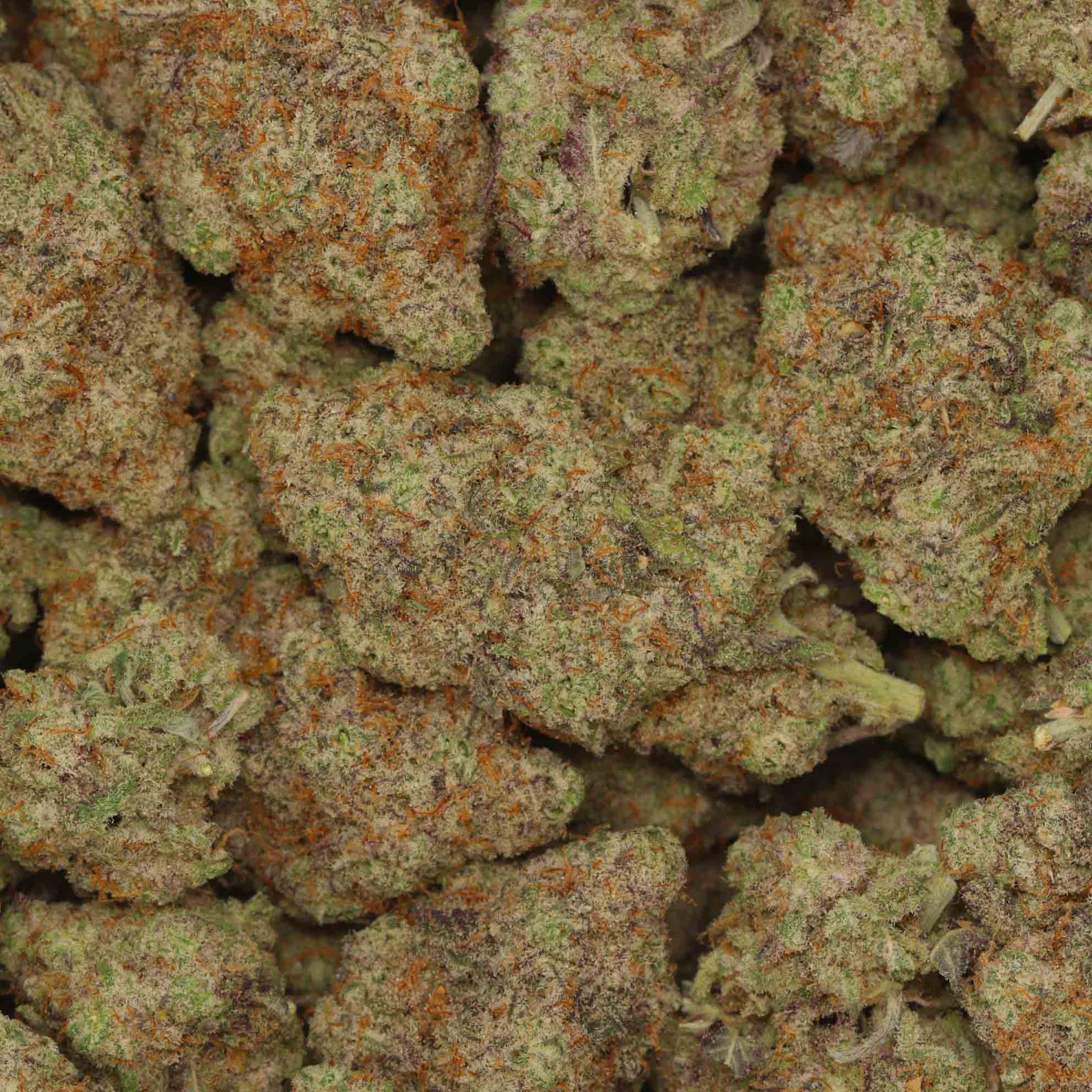 Bombsicle Craft Marijuana | Buy Weed Online Canada | Bulk Buddy