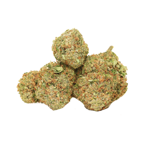 Pink Taco Strain | Bulk Buddy Weed | Online Dispensary Canada