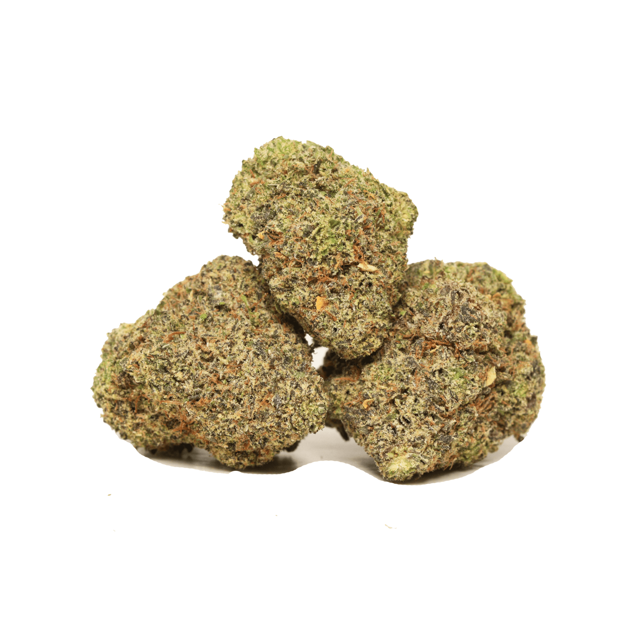 Stankasaurus Strain | Online Dispensary Canada | Bulk Buddy
