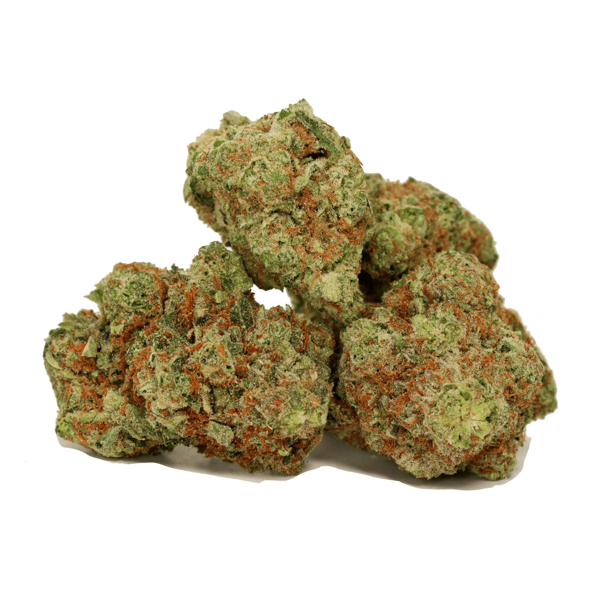 OG Shark Strain | Bulk Buddy Weed | Online Dispensary Canada