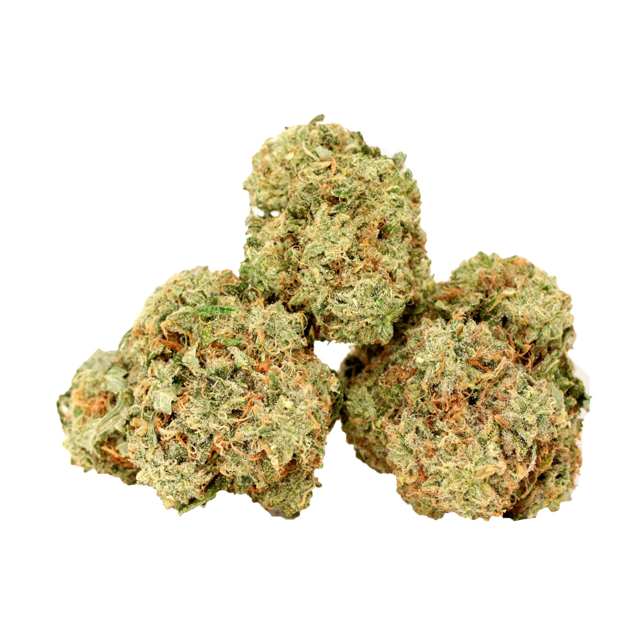 Blue Cheese Strain Bulk Buddy Weed Online Dispensary Canada