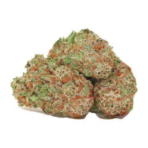 Blueberry Pancakes Strain | Bulk Buddy Online Dispensary