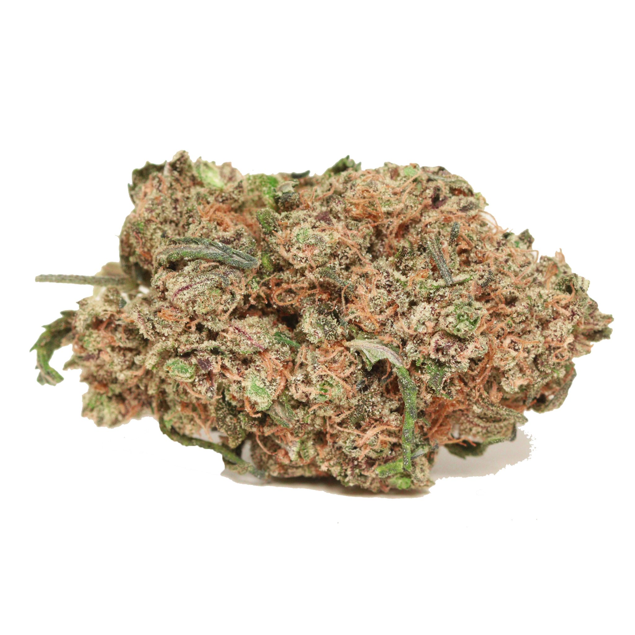 Purple Trainwreck Strain Bulk Buddy Online Dispensary Canada