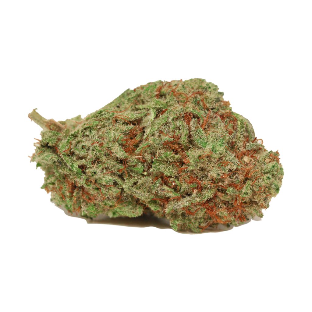 Space Queen Strain | Online Dispensary Canada | Bulk Buddy