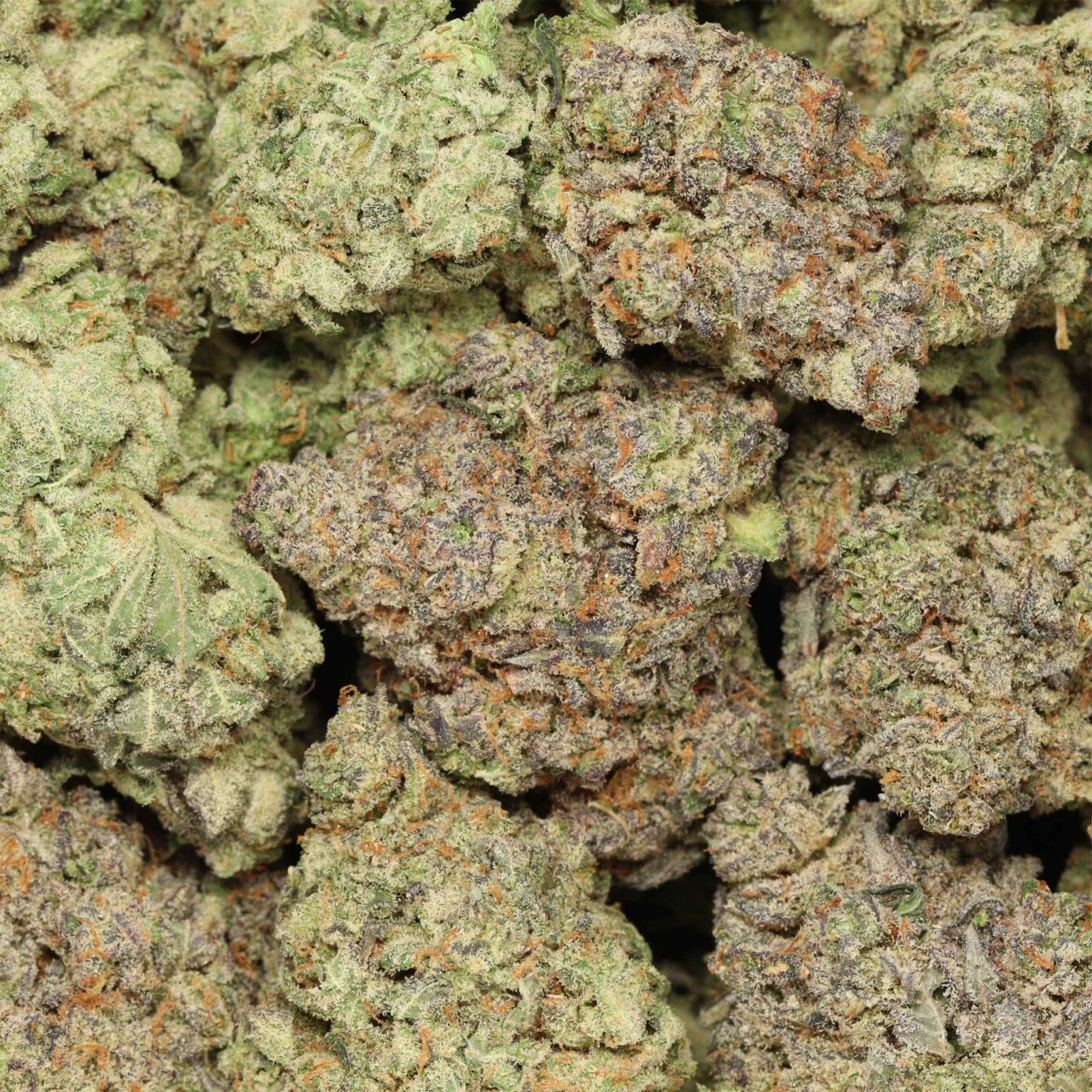 94 Octane Strain | Online Dispensary Canada | Bulk Buddy