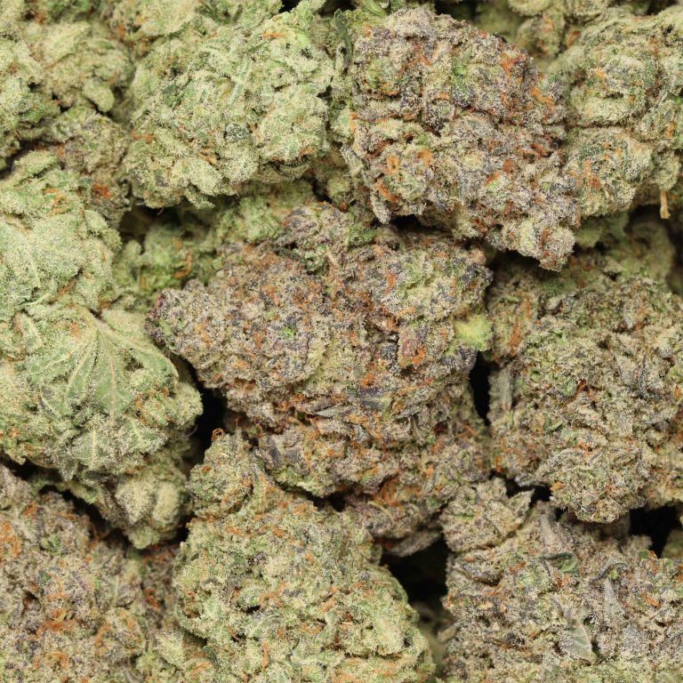 94 Octane Strain | Online Dispensary Canada | Bulk Buddy