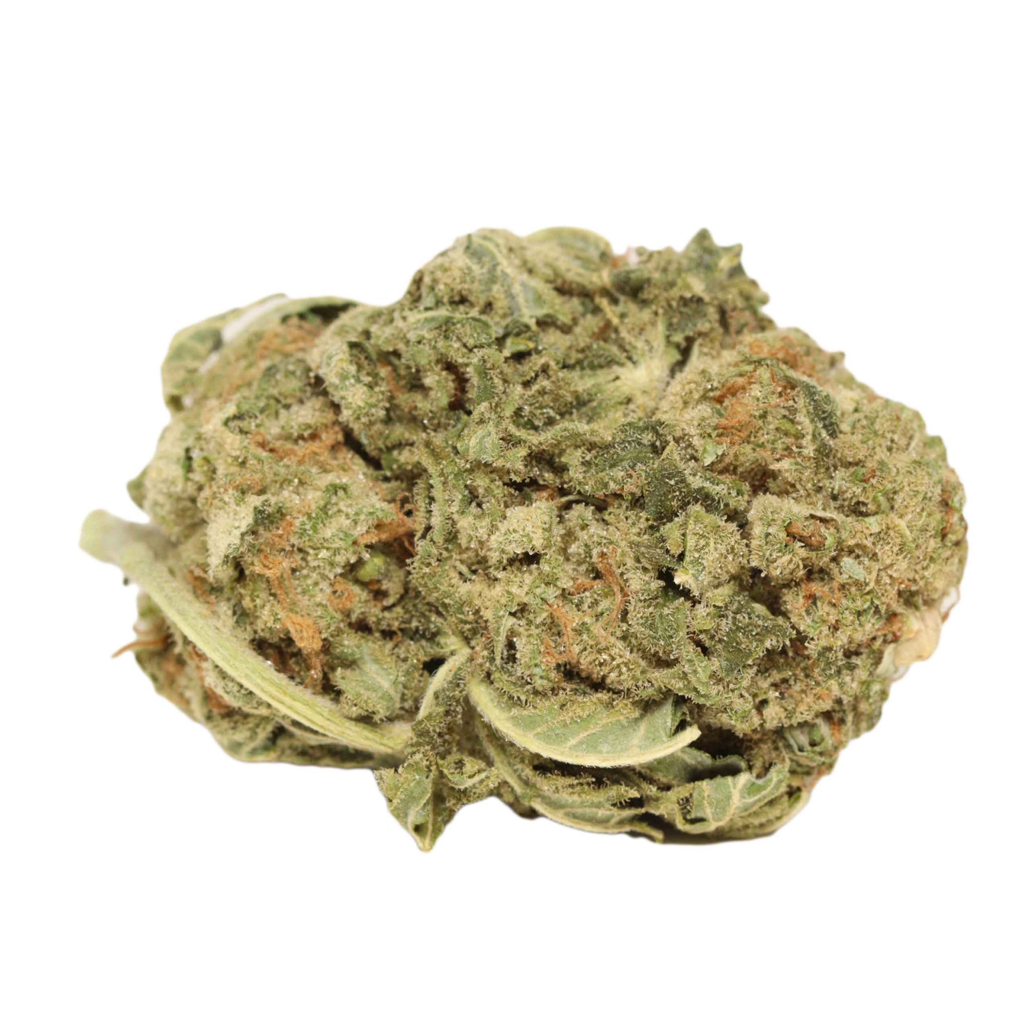 Buy Blueberry Pie Strain | Bulk Buddy | Online Dispensary