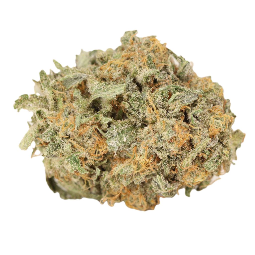 Gary Payton Strain | Online Dispensary Canada | Bulk Buddy