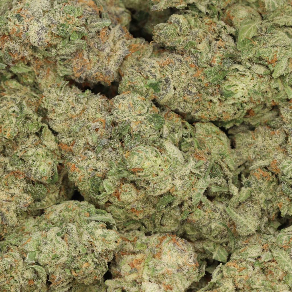 Ghost Train Haze Craft | Online Dispensary Canada | Bulk Buddy