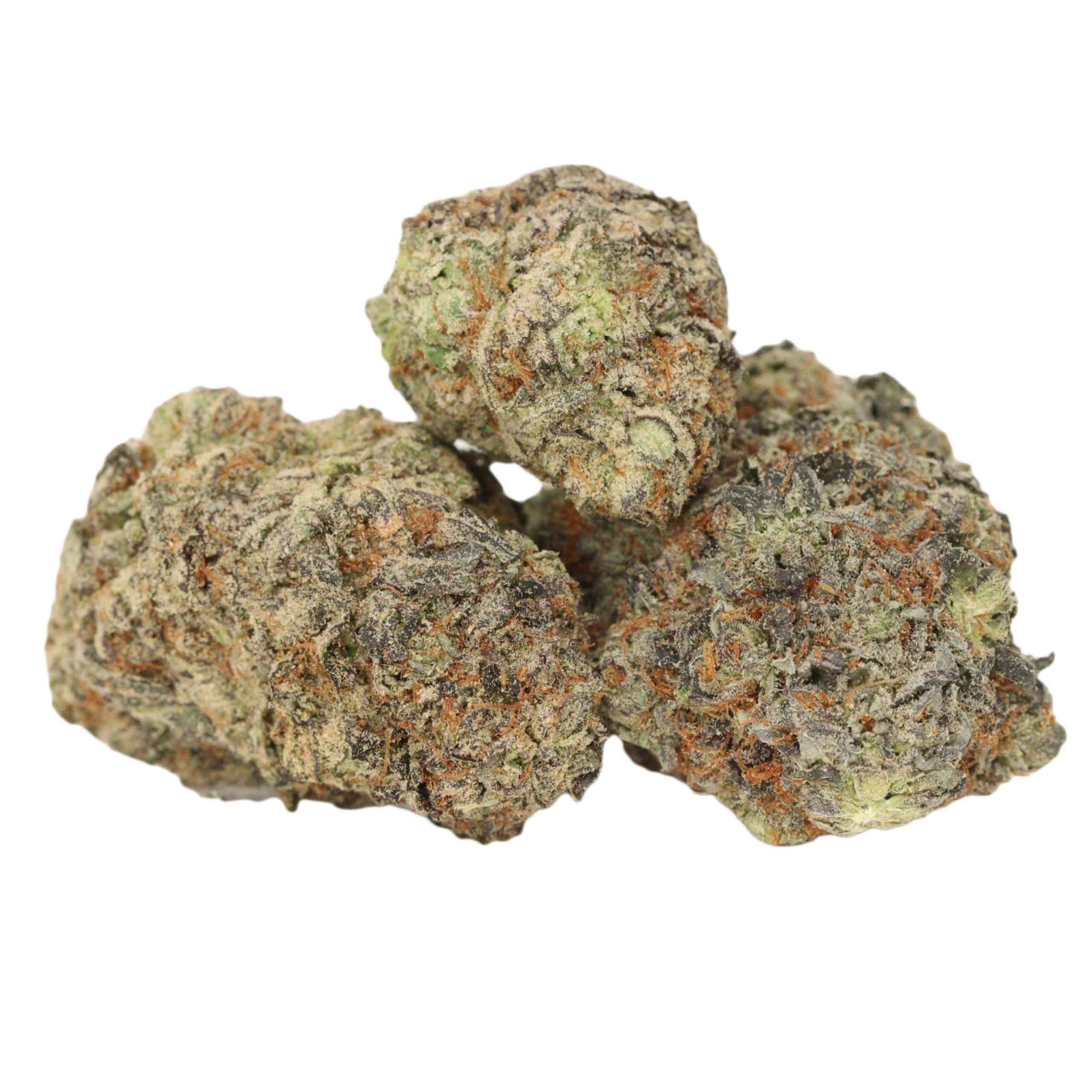 GovernMint Oasis Strain Craft | Buy Weed Online At Bulk Buddy