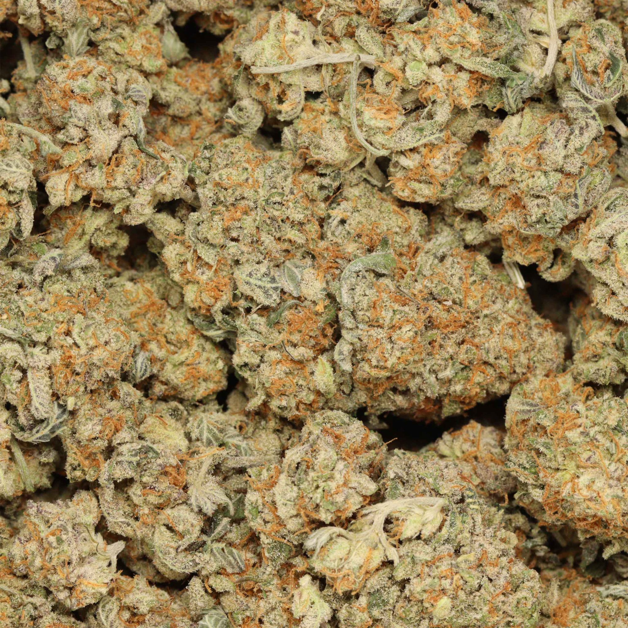 Ice Wine Strain | Bulk Buddy Weed | Online Dispensary Canada