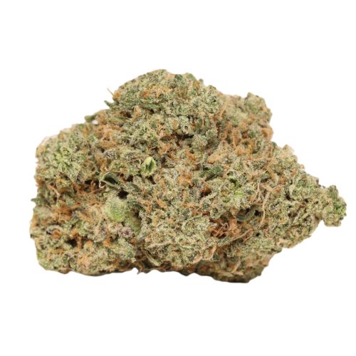 King Louis Strain XIII | Bulk Buddy Online Dispensary Canada