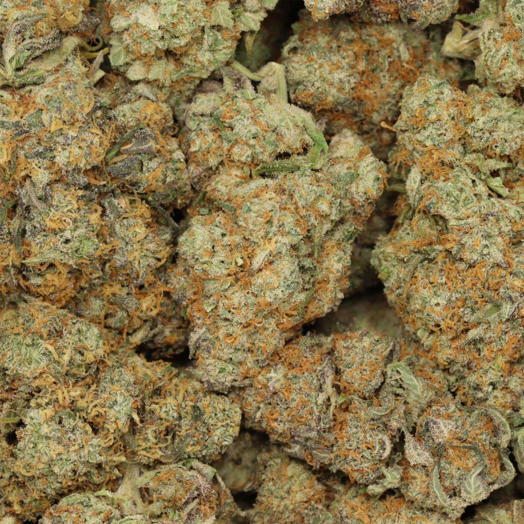 Mandarin Cookies Strain | Bulk Buddy Weed Online Dispensary