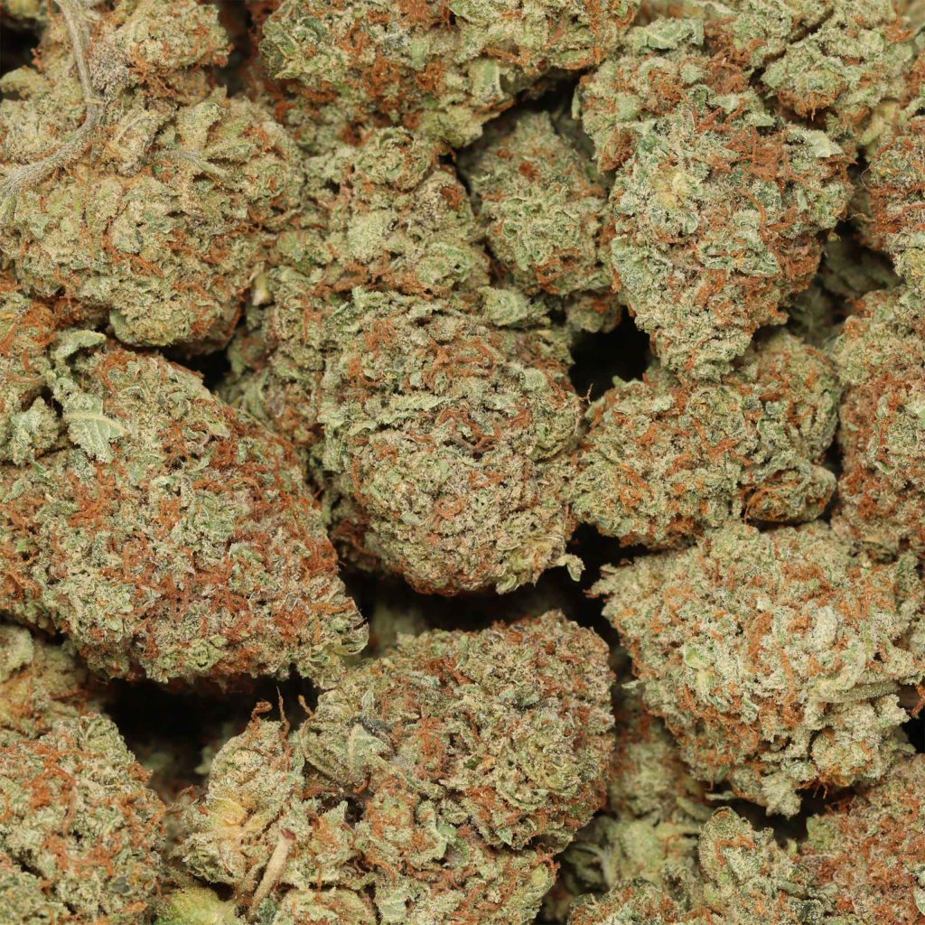 Black Mamba Strain | Online Dispensary Canada | Bulk Buddy