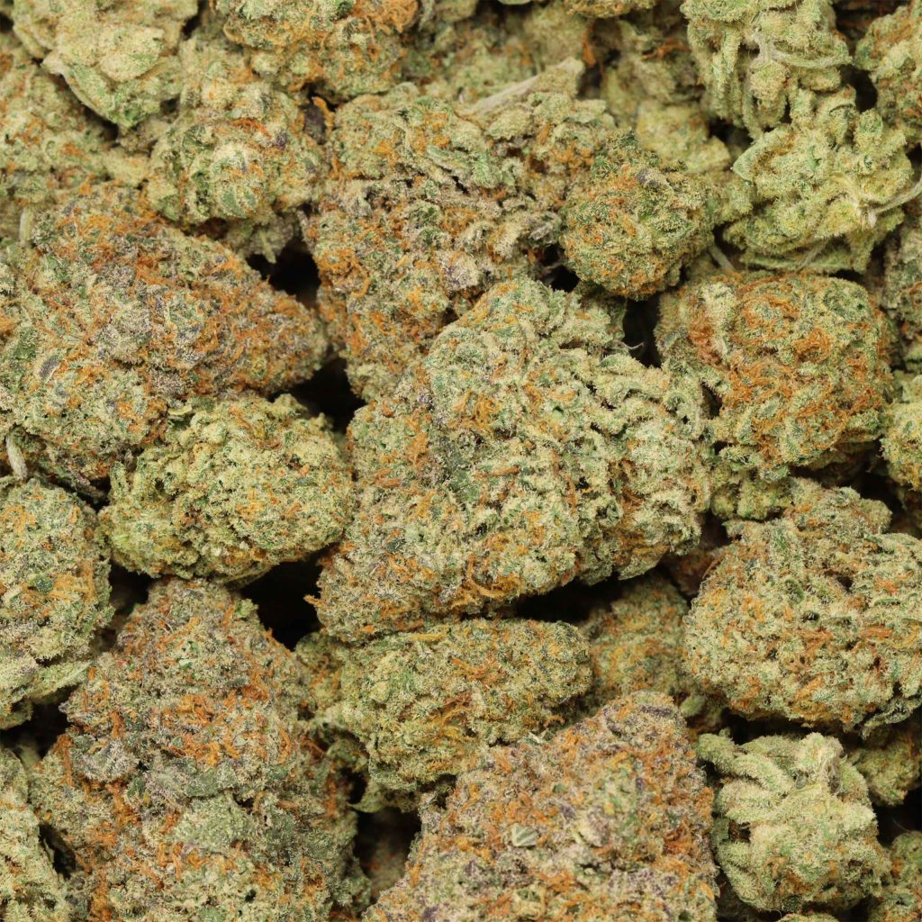 Chunky Monkey Strain | Online Dispensary Canada | Bulk Buddy