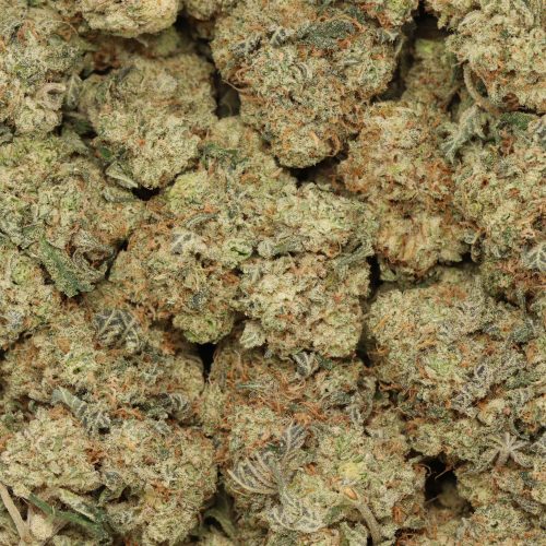 Comatose OG Strain | Online Dispensary Canada | Bulk Buddy