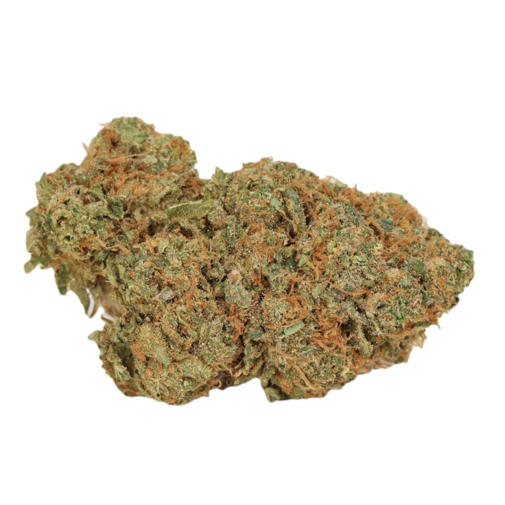 JackFruit Strain | Bulk Buddy | Online Dispensary Canada