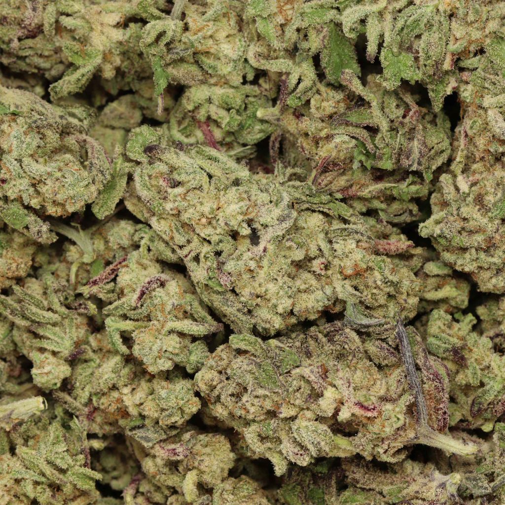 Super Lemon MAC Strain | Bulk Buddy Online Dispensary Canada