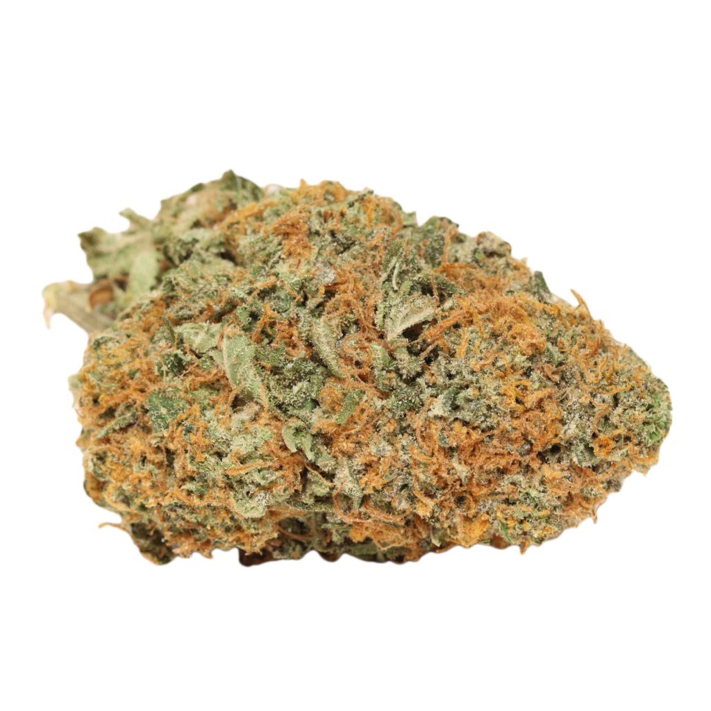 White Truffle Strain | Online Dispensary Canada | Bulk Buddy